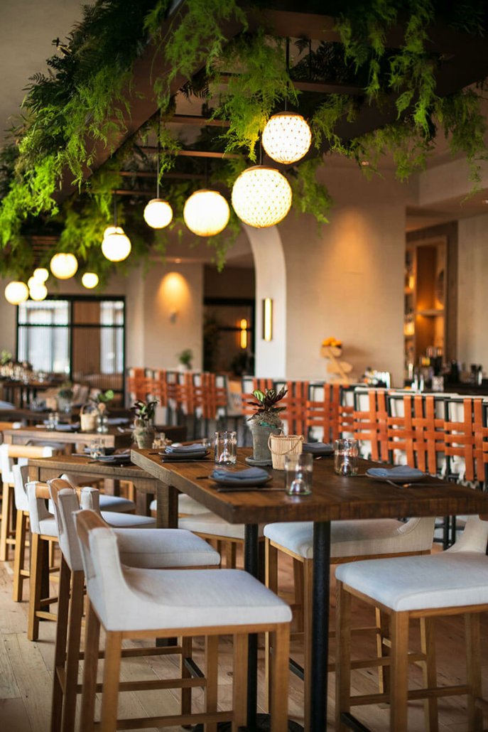 Terrene San Francisco | San Francisco Restaurant Reservations